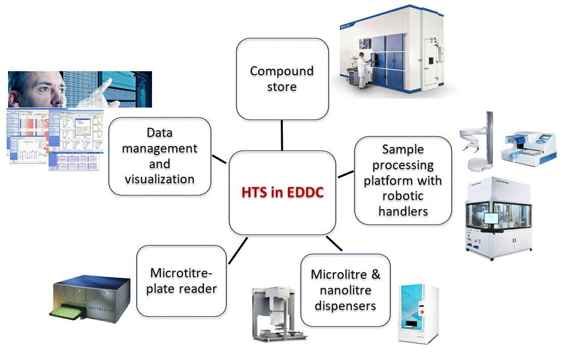 High Throughput Screening High Throughput Screening