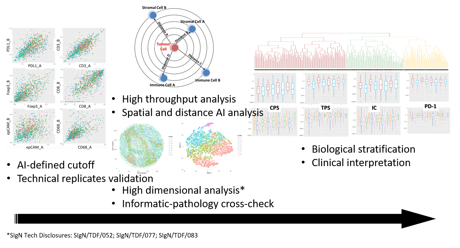 Multiplex IHC Immuno-Mapping