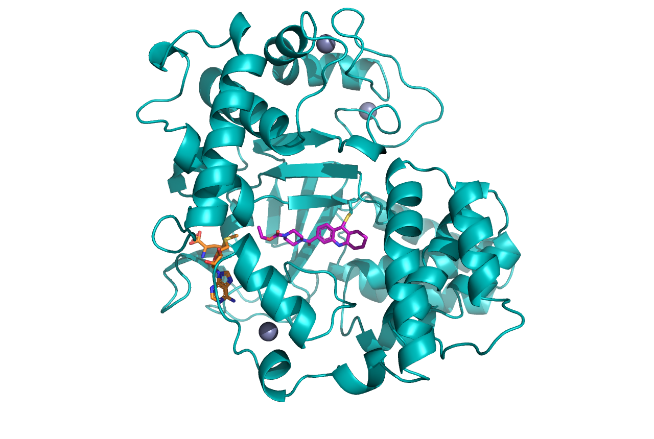 Protein Crystallography Protein Crystallography