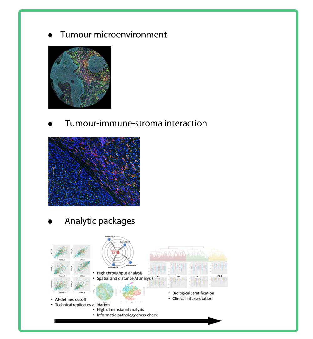 Multiplex IHC Immuno-Mapping