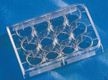 RSC - eStore. Products tagged with 'Plate'