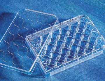 RSC - eStore. Products tagged with 'CORN3738'