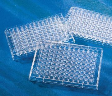 RSC - eStore. Products tagged with 'CORN3896'