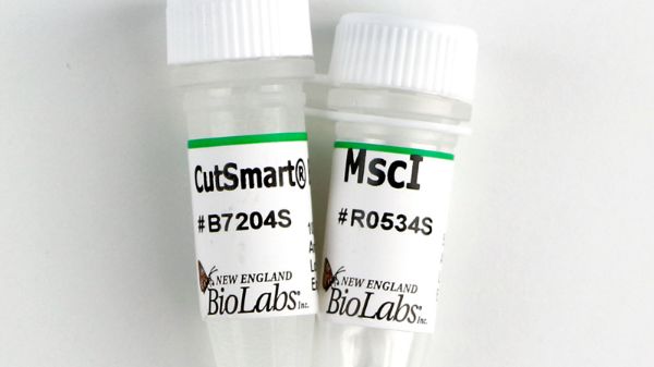 RSC - eStore. (S) MscI