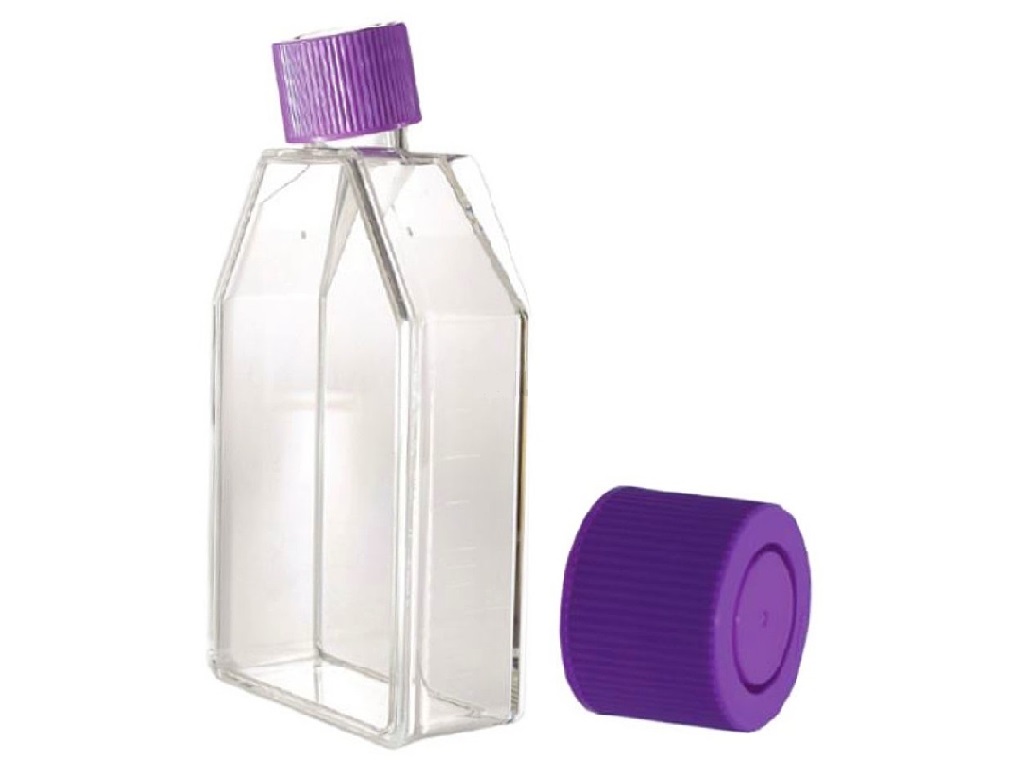 RSC - eStore. TC Flask Canted Neck With Double-Seal Cap