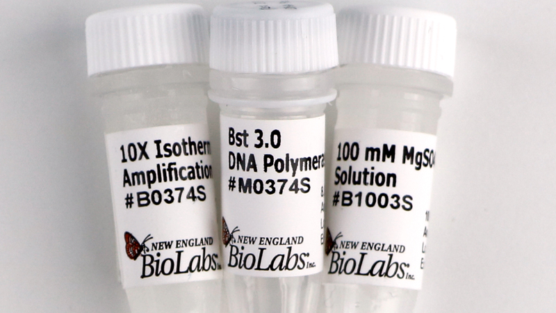 RSC - eStore. (S) Bst 3.0 DNA Polymerase