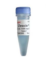 RSC - eStore. Zeocin