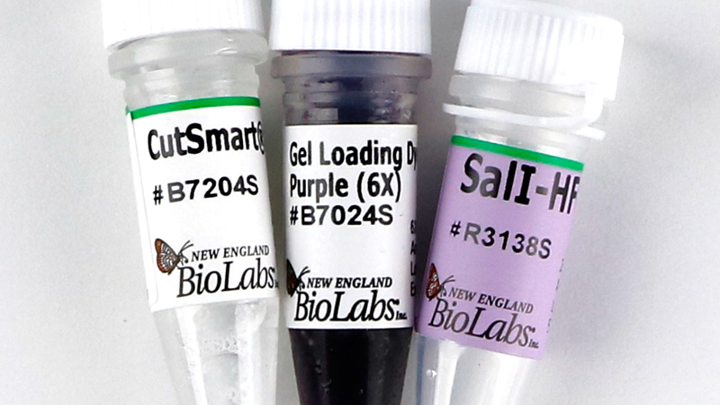 RSC - eStore. (S) SalI-HF