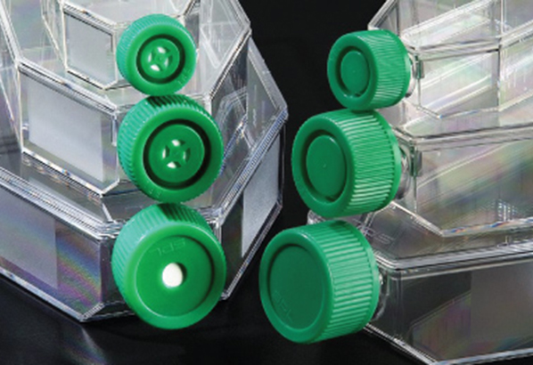 RSC - eStore. SPL (650mL) Flask, 175cm 2, Treated, Polystyrene ...