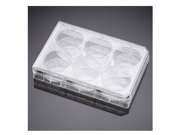 RSC - eStore. Corning (2mL) Plate, 6-Well, TC-Treated, Polystyrene, F ...